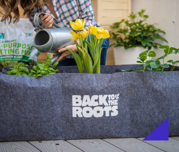 KBW Ventures - Investing in companies that drive the future