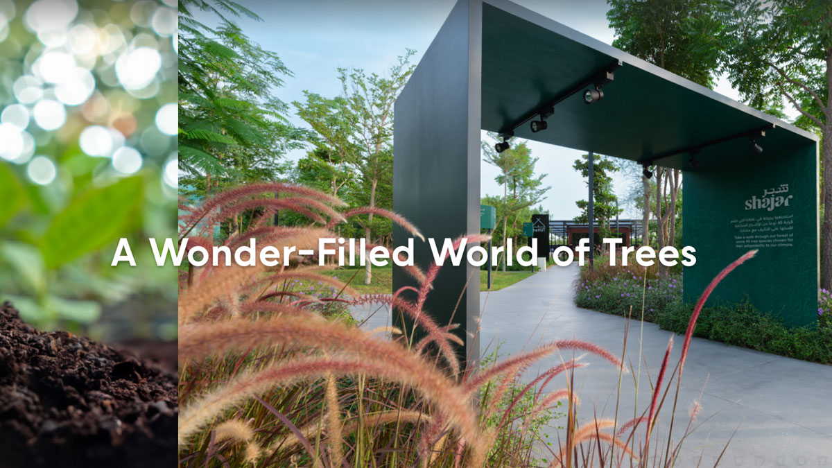 Shajar - A Wonder-Filled World of Trees